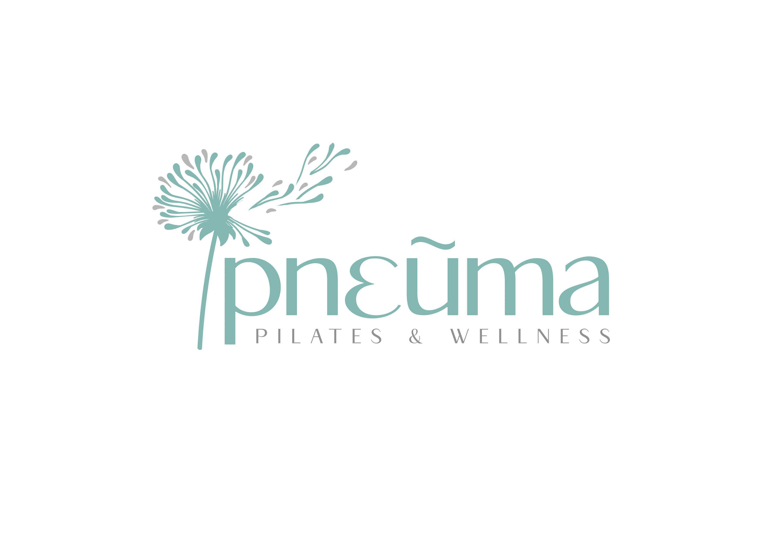 Pneuma Pilates and Wellness | Oak Park Mall